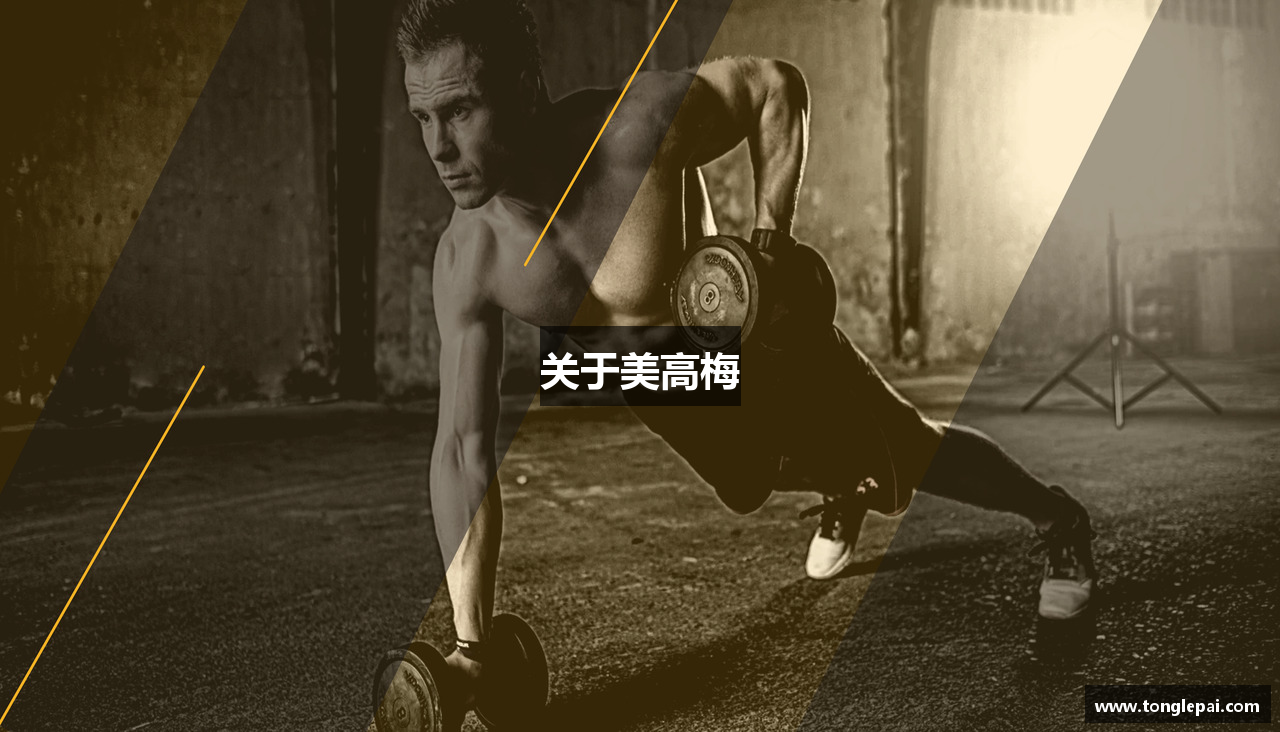 关于美高梅 - 美高梅(mgm)官网首页[VIP入口]